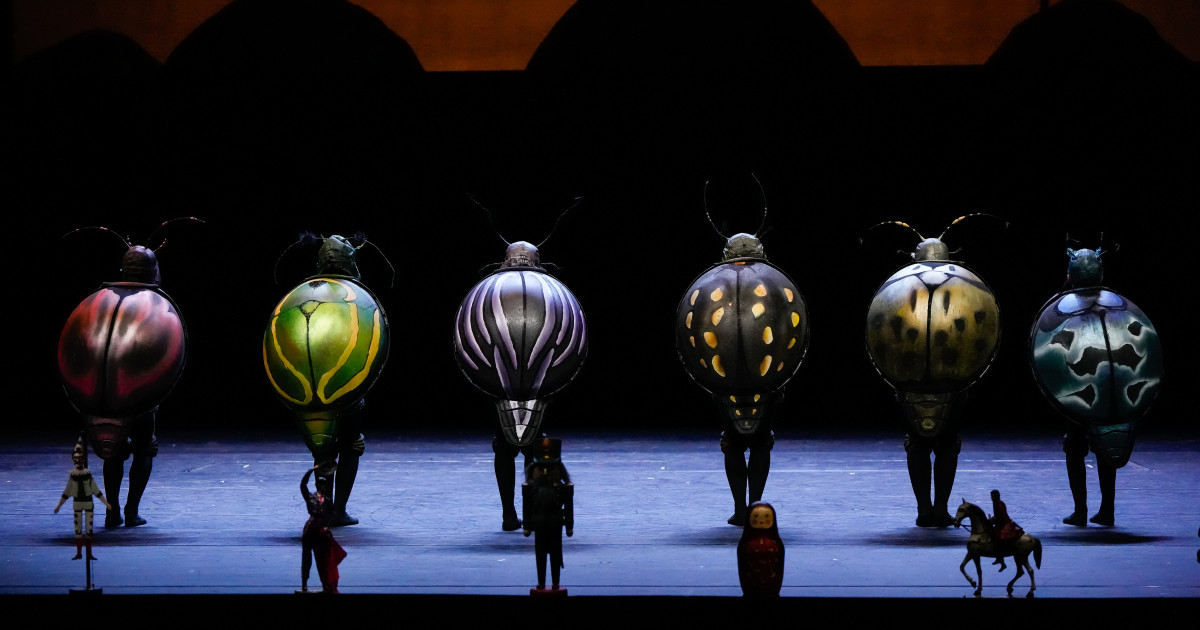 Nussknacker Stuttgarter Ballett Clug Rose