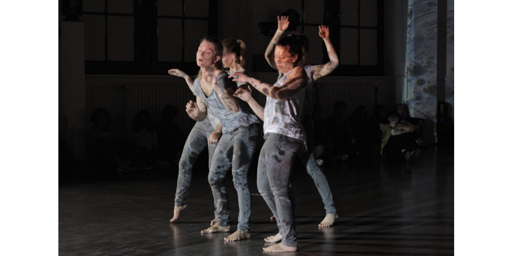 Ursina Tossi Resisting bodies. body-activism-dance