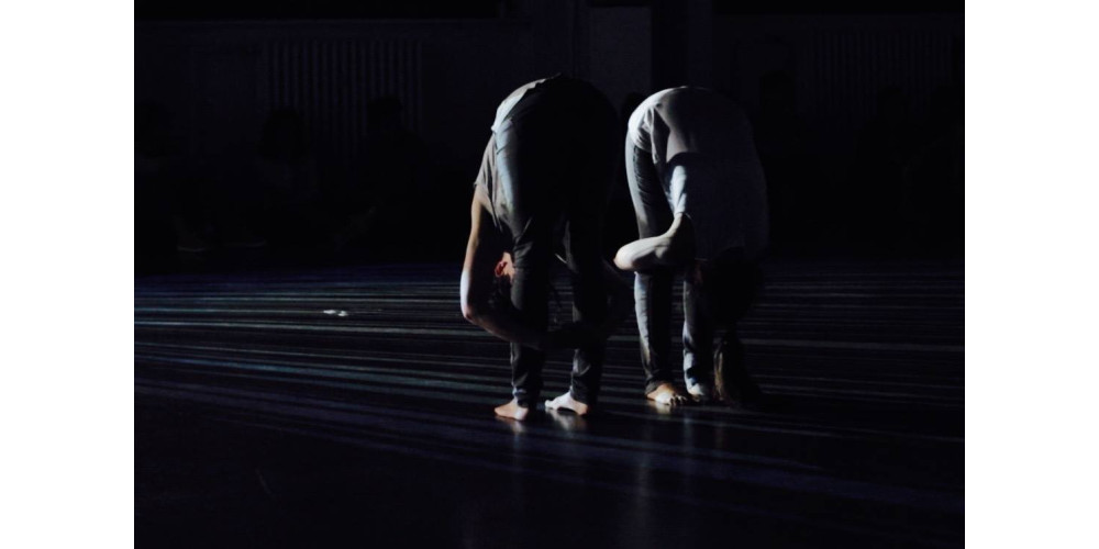 Ursina Tossi Resisting bodies. body-activism-dance