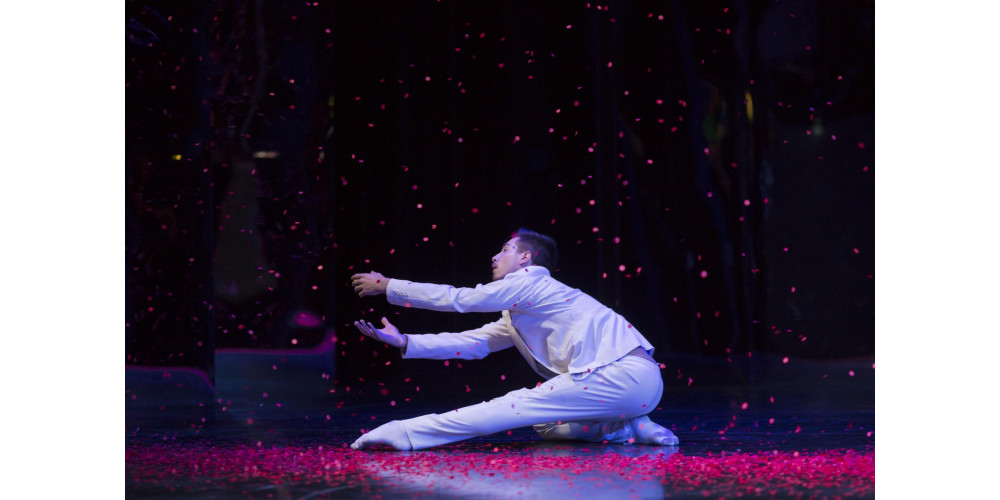 „Ballett einer Se(h)ensucht nach Schwanensee“