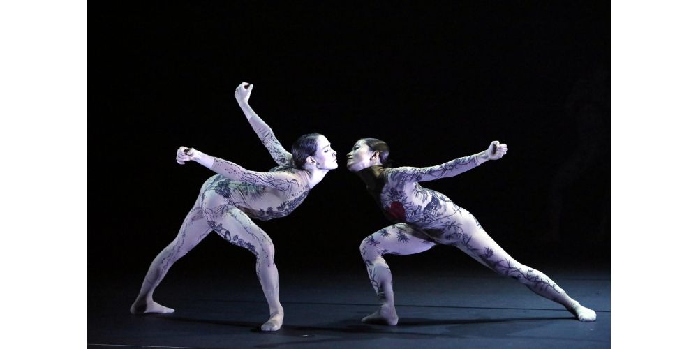 Chapter 3: The Brutal Journey of the Heart Eyal