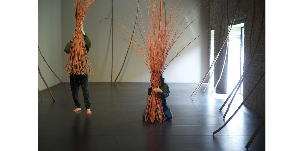 Isabelle Schads „Harvest“