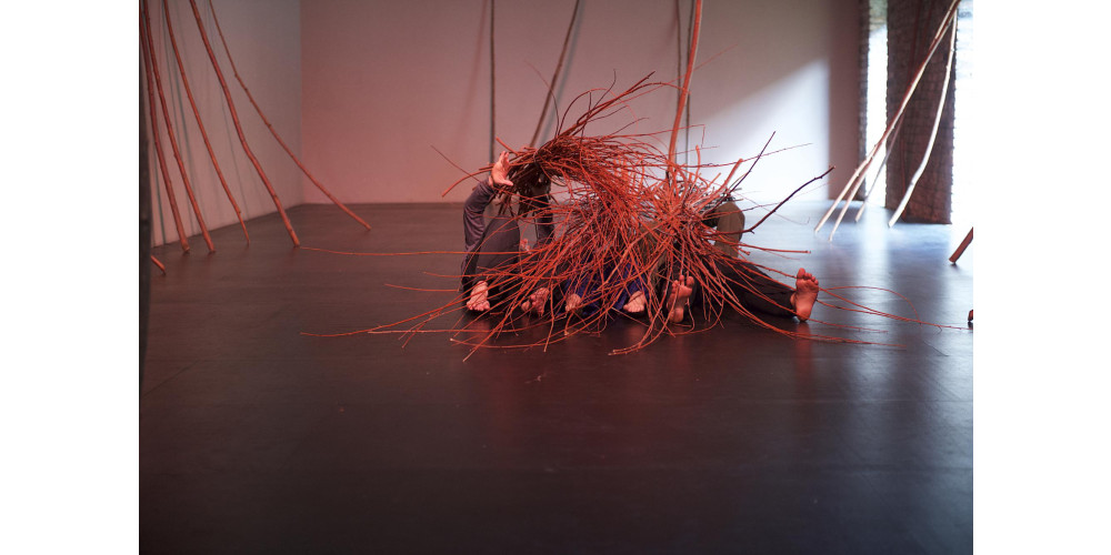 Isabelle Schads „Harvest“