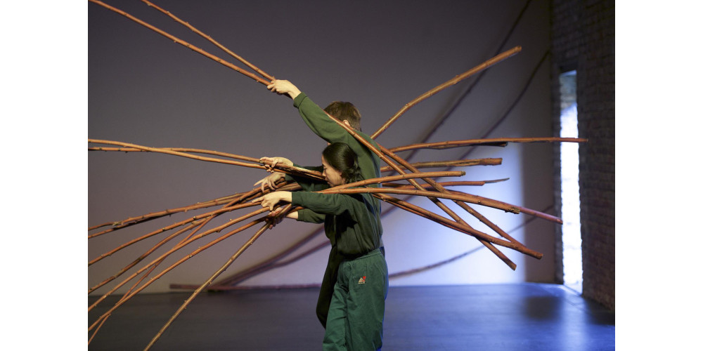 Isabelle Schads „Harvest“