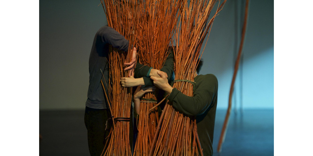 Isabelle Schads „Harvest“