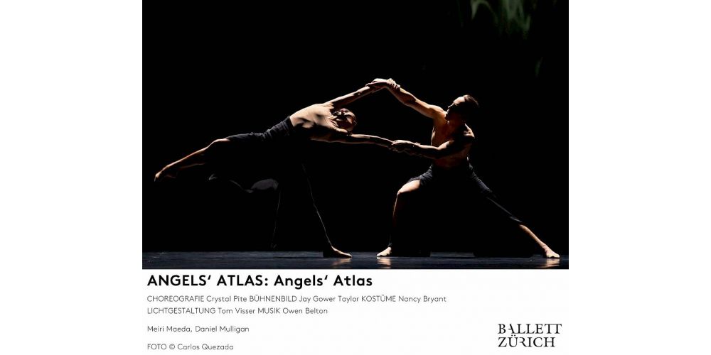 Von Engeln, Menschen und Bienen