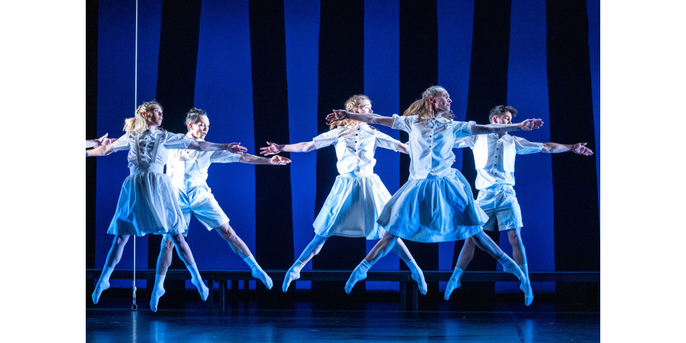 Schmidts Dostojewski Idiot Schwanensee Lüneburg