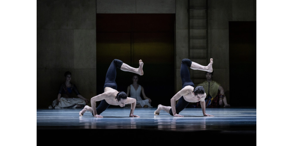 Odyssee Neumeier Hamburg