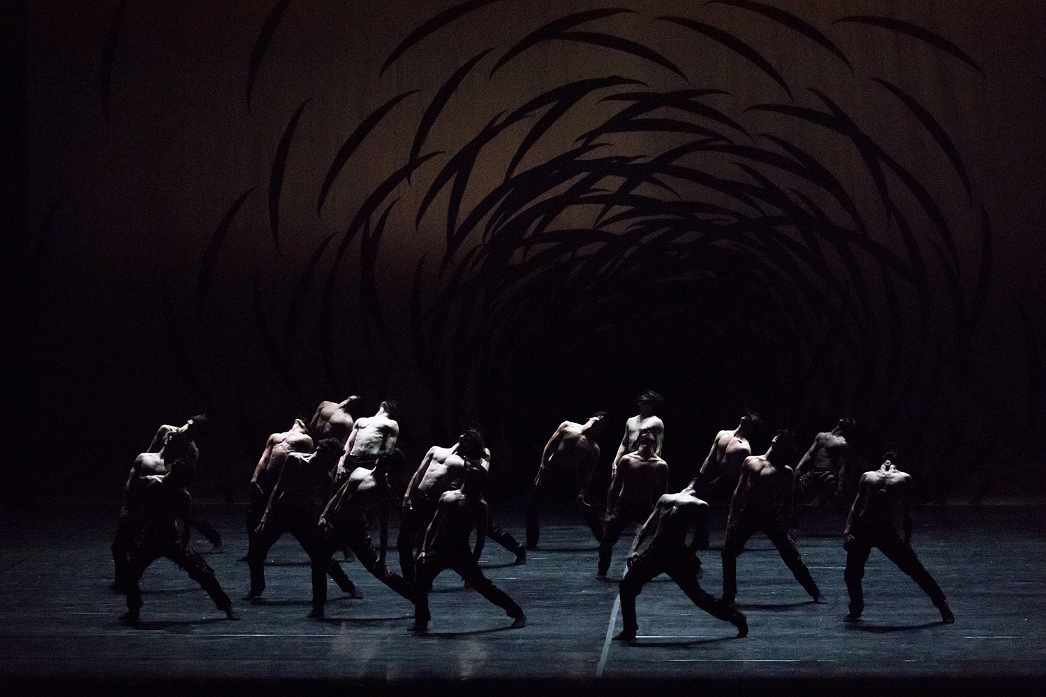 National Ballet of Canada Hamburg