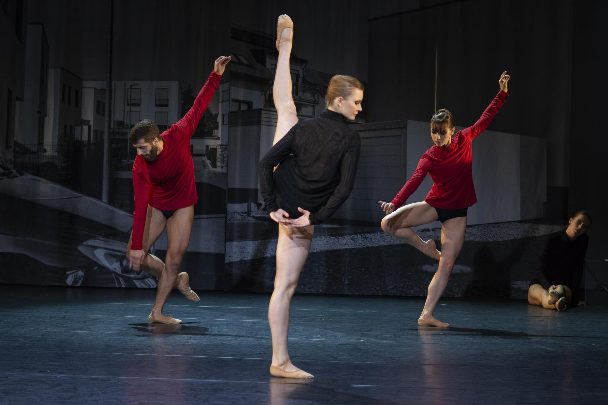 „Verschwundenes Bild“ von Andris Plucis