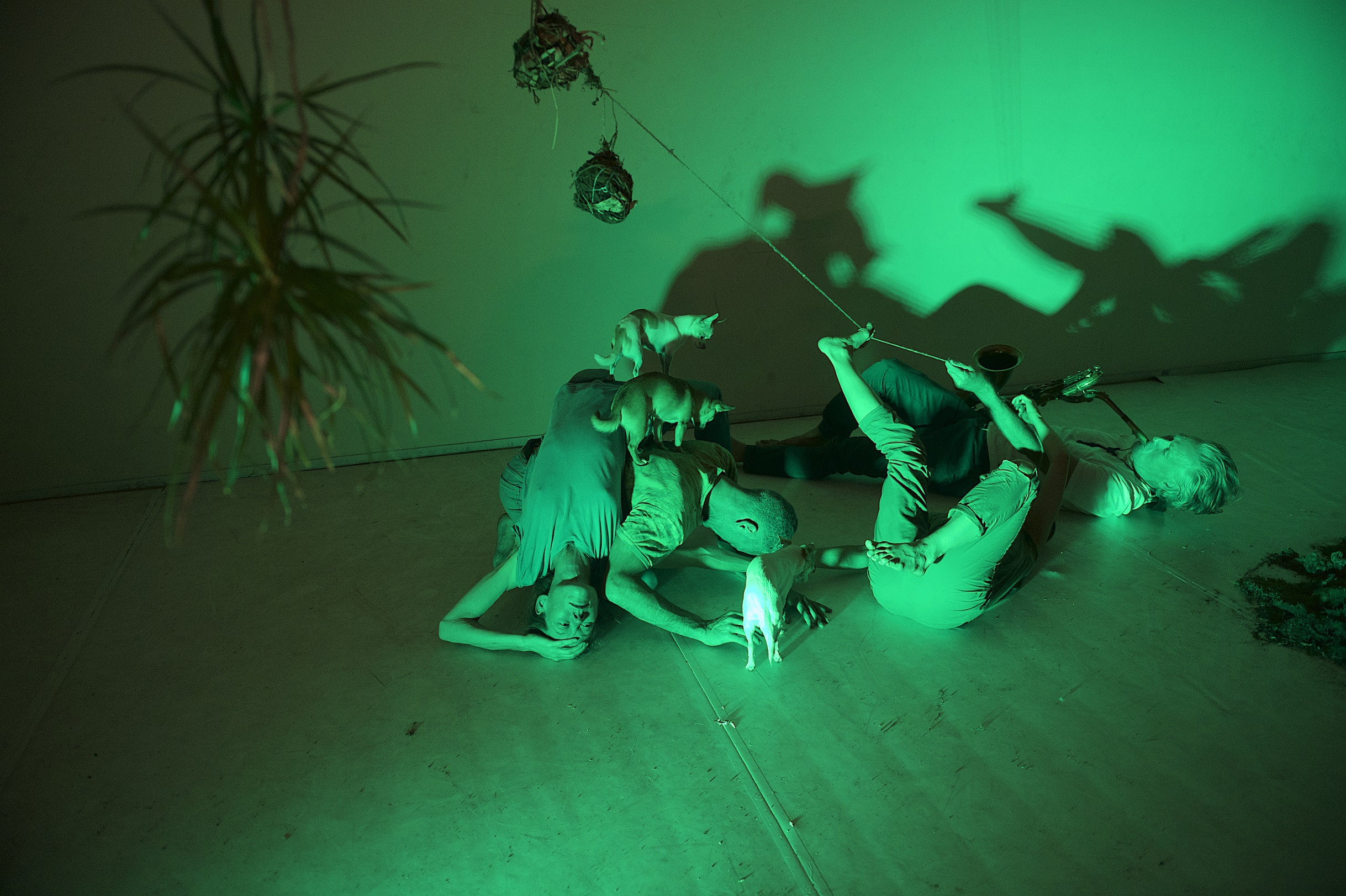 Verbindung von Natur und Tanz