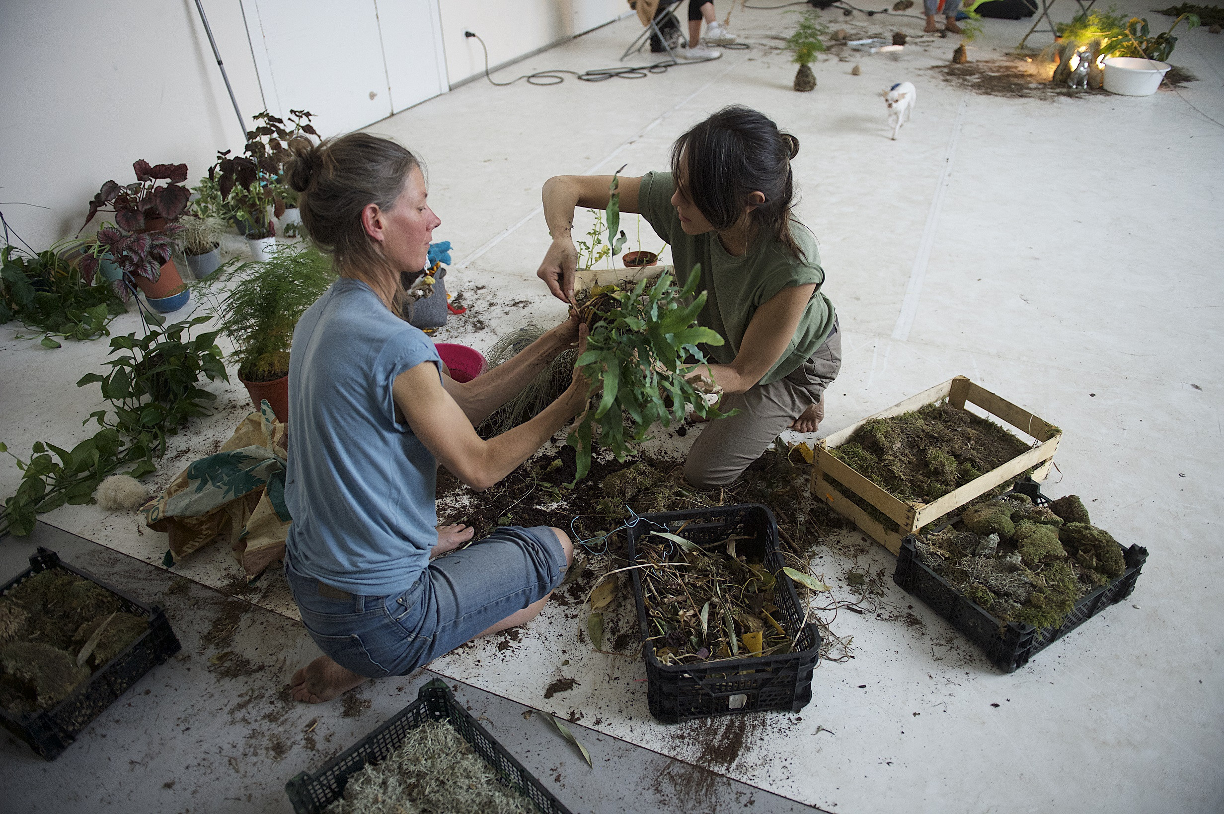 Verbindung von Natur und Tanz