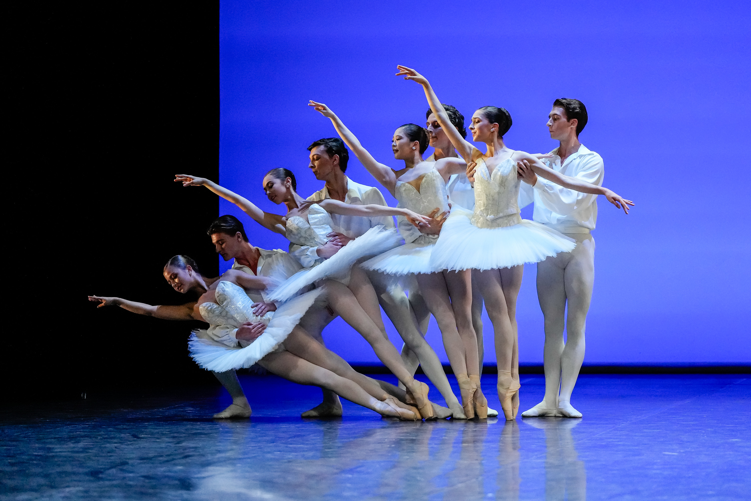 Gala Cranko Stuttgart