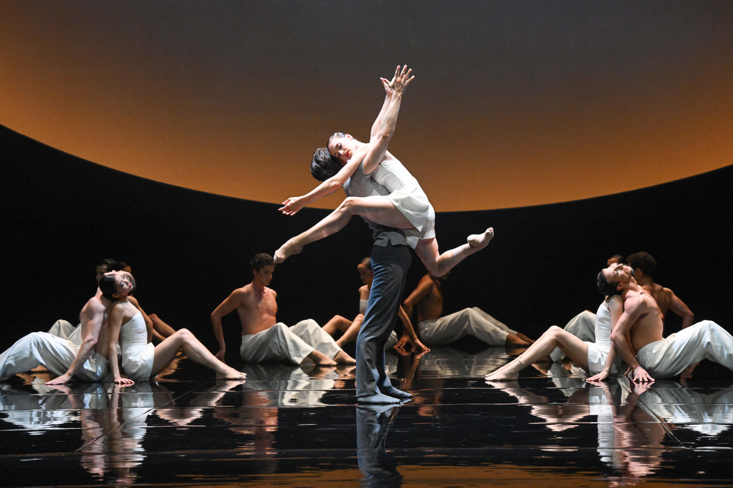 Novitzky Dawson Stuttgart