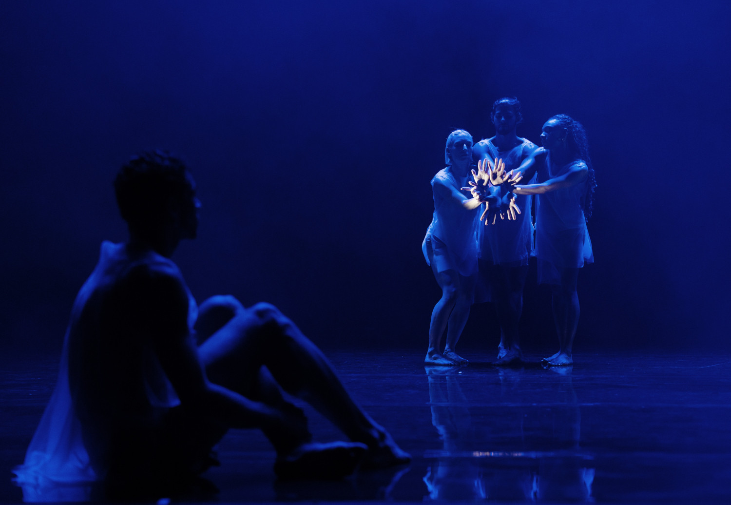 Deepstaria McGregor Ludwigshafen