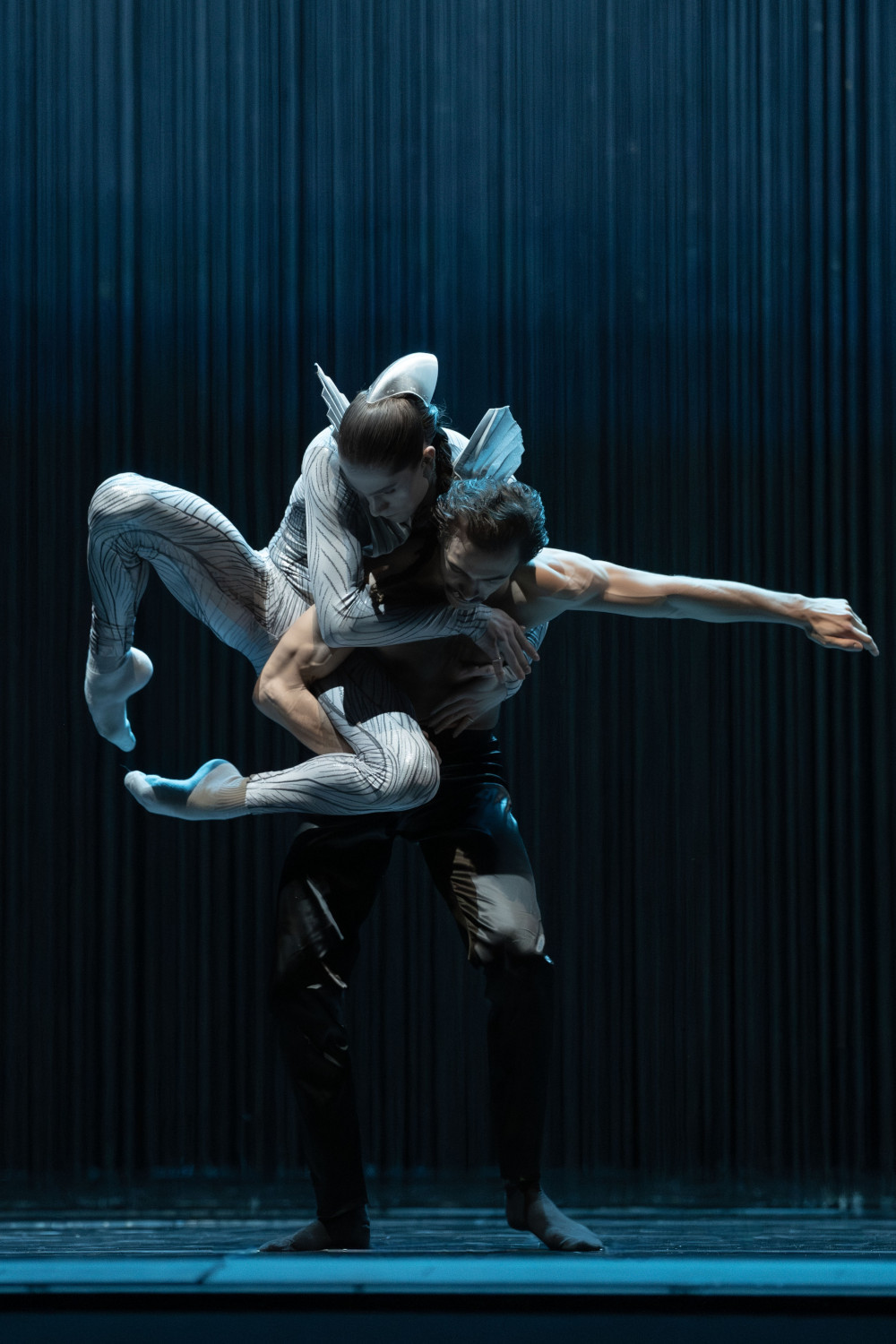 Goyo Monteros „Schwanensee – Rotbarts Geschichte“